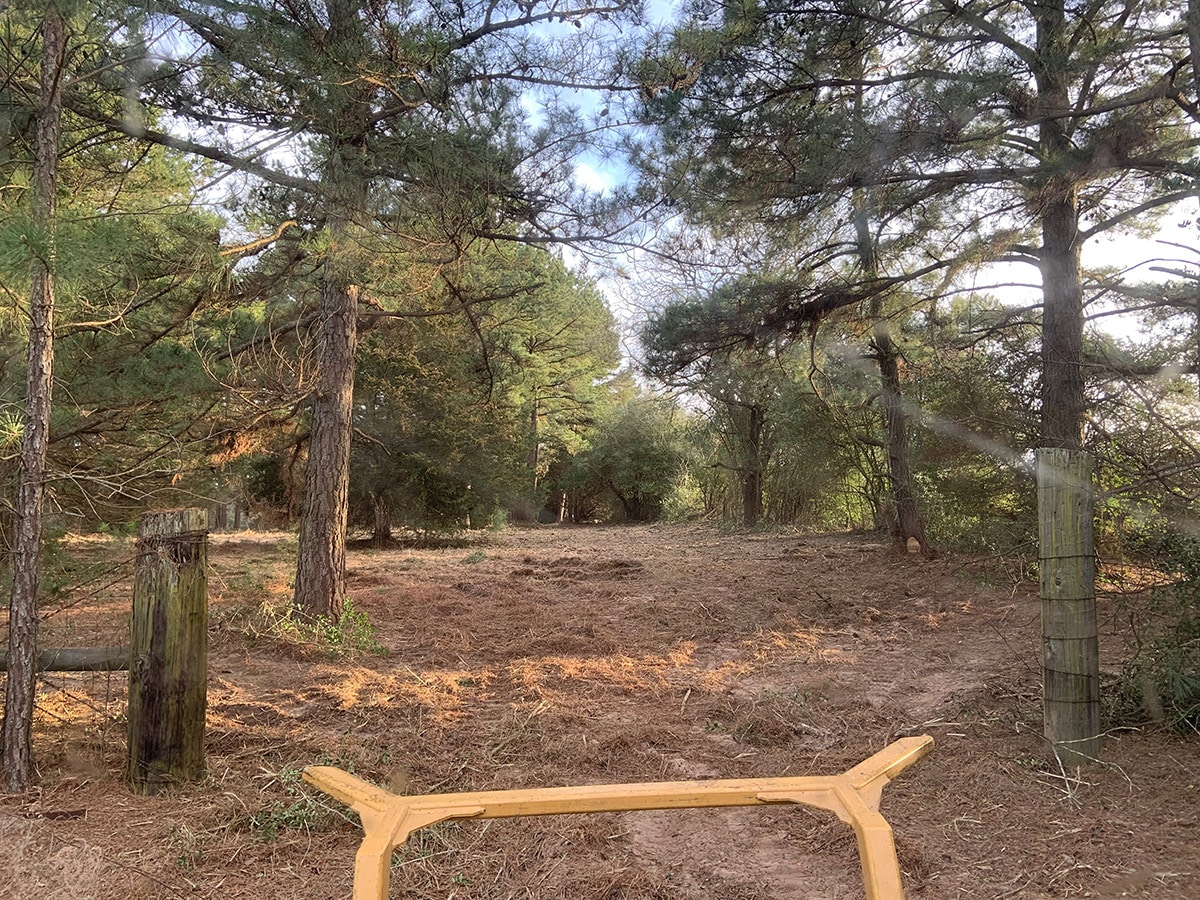 SK Disc Mulcher Pro X Attachment | Diamond Mowers